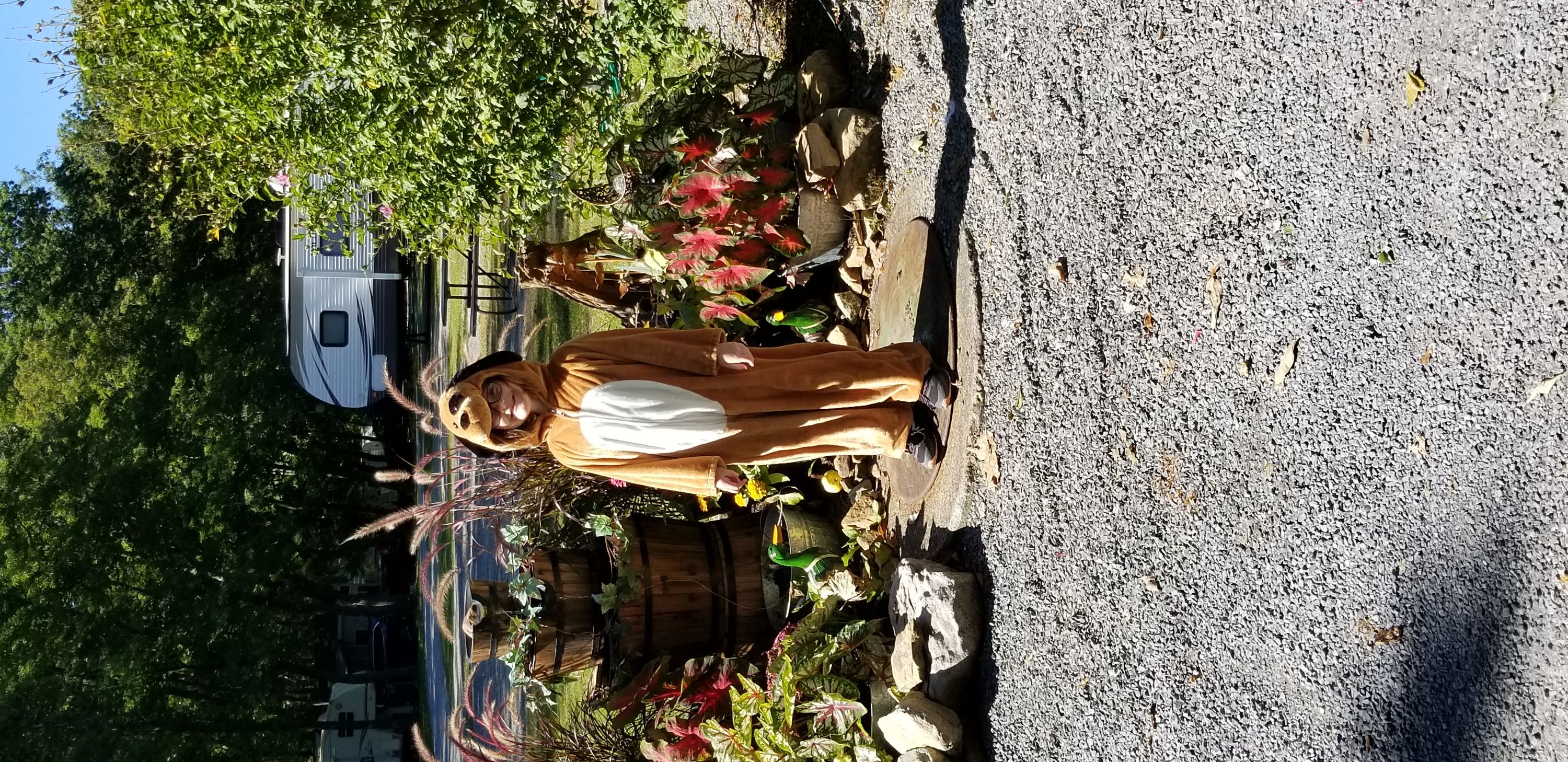 Rustic Acres RV Resort & Campground | Go Camping America